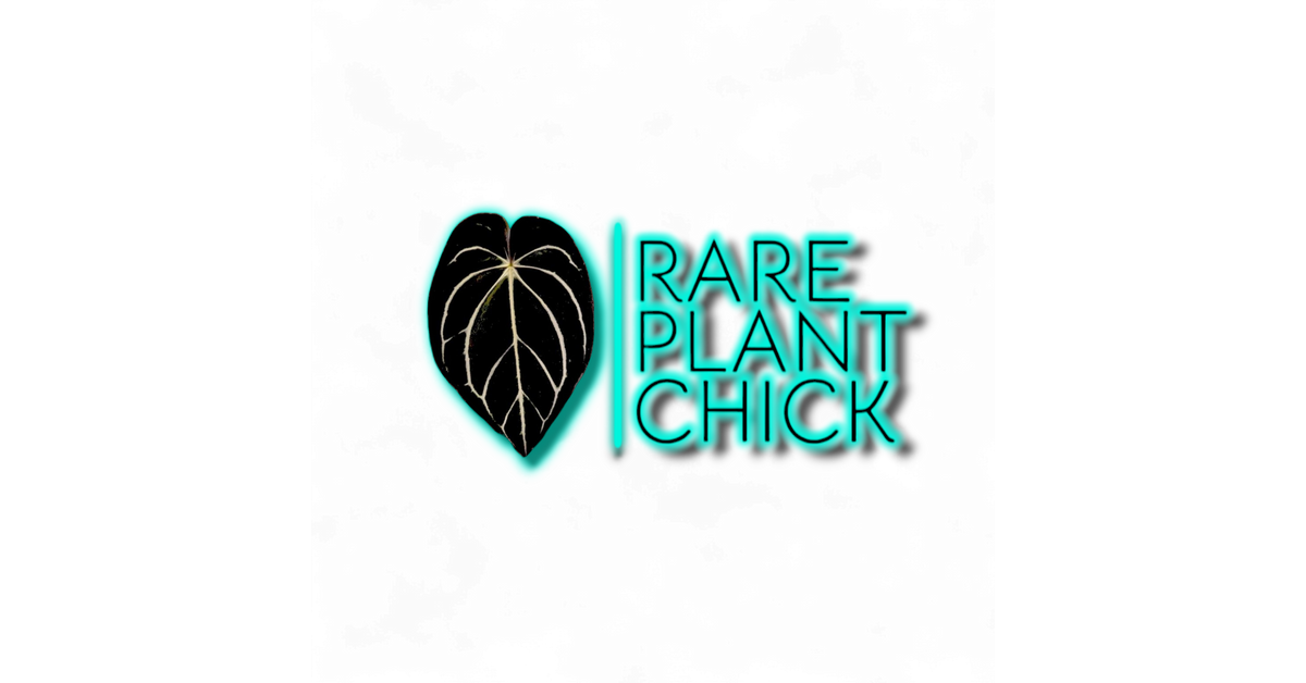 Rare Plant Chick
